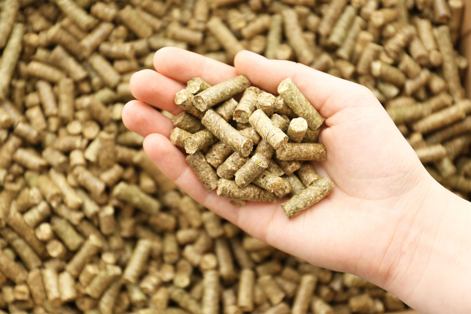 Animal Feed – Analytical Technology Laboratory